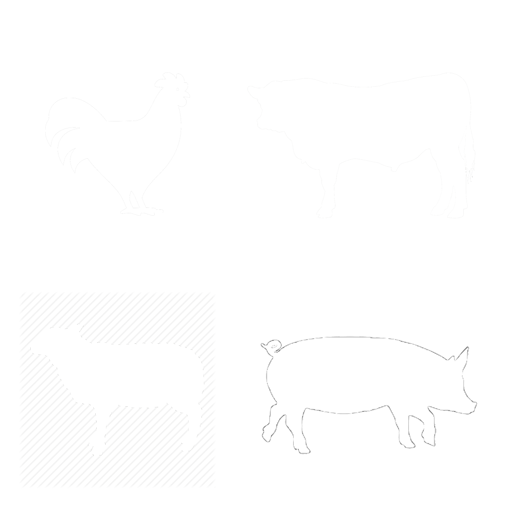 Animal icons Carnivore Cuts animal-icons-carnivore-cuts